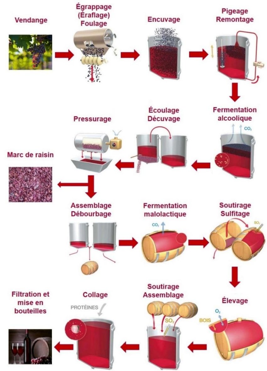Derrière un grand vin se cache une technique de vinification