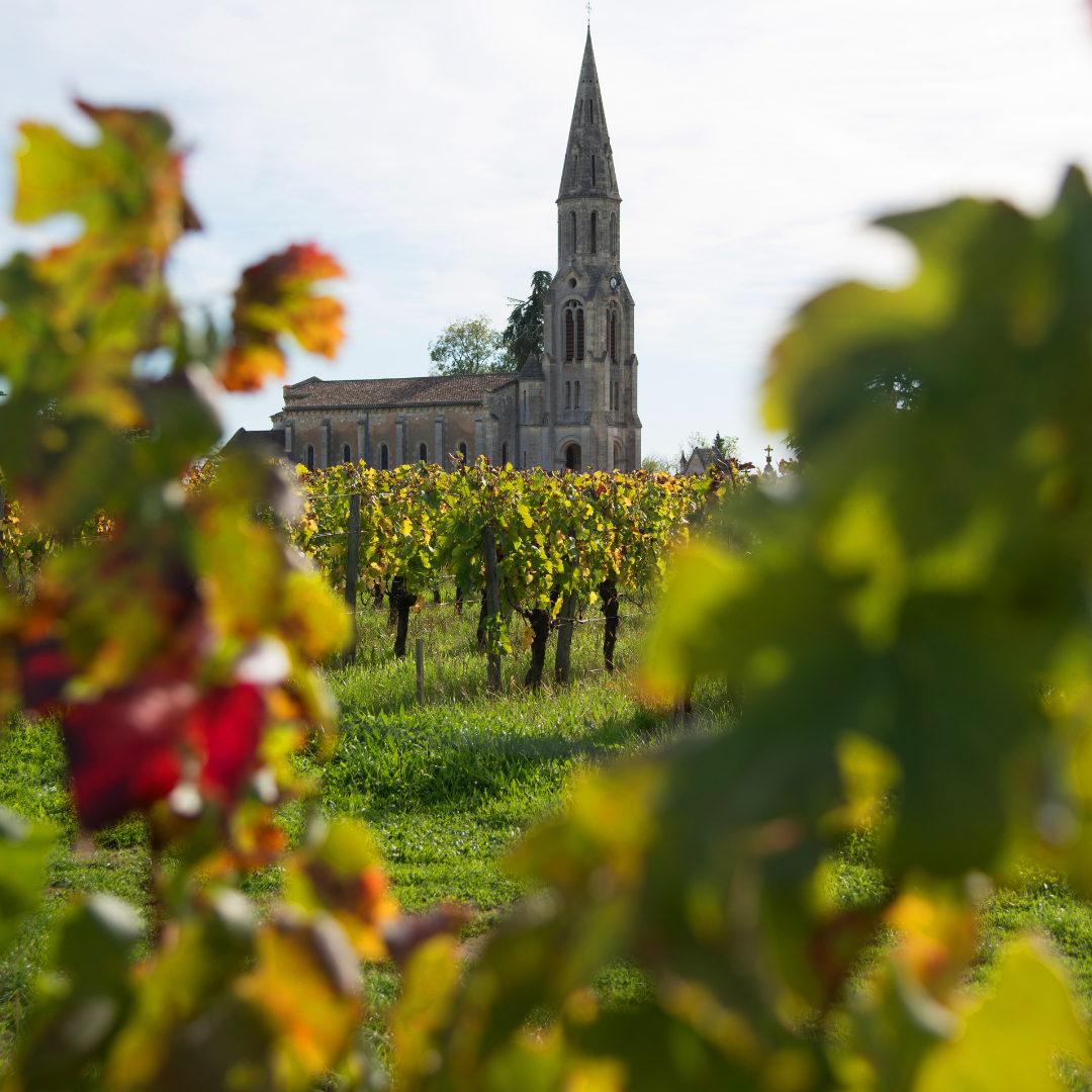 Découvrez le Château Chêne Liège, terre de vins d'exception